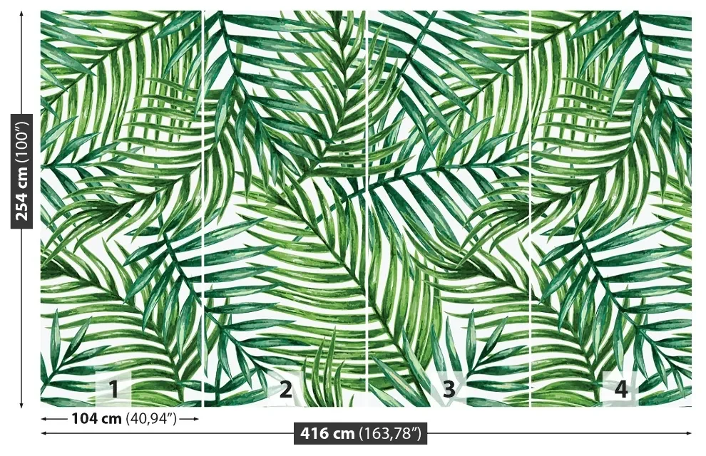 Fototapet Frunze de palmier | BIANO