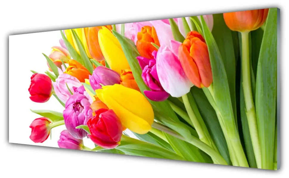 Tablou pe sticla Lalele Floral Multi | BIANO