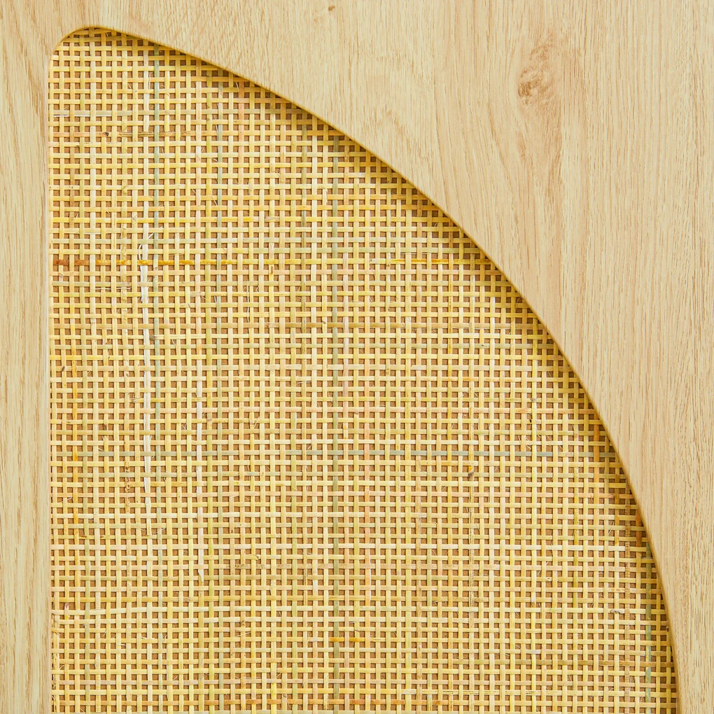 HOMCOM Dulap din Ratan cu 2 Nivele de Depozitare și Uși Duble, Design ...