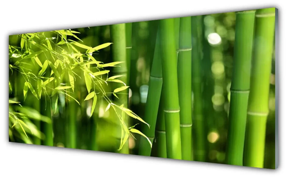 Tablou pe sticla Frunze de bambus verde florale | BIANO