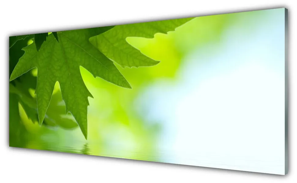 Tablou pe sticla Frunze Natura verde | BIANO