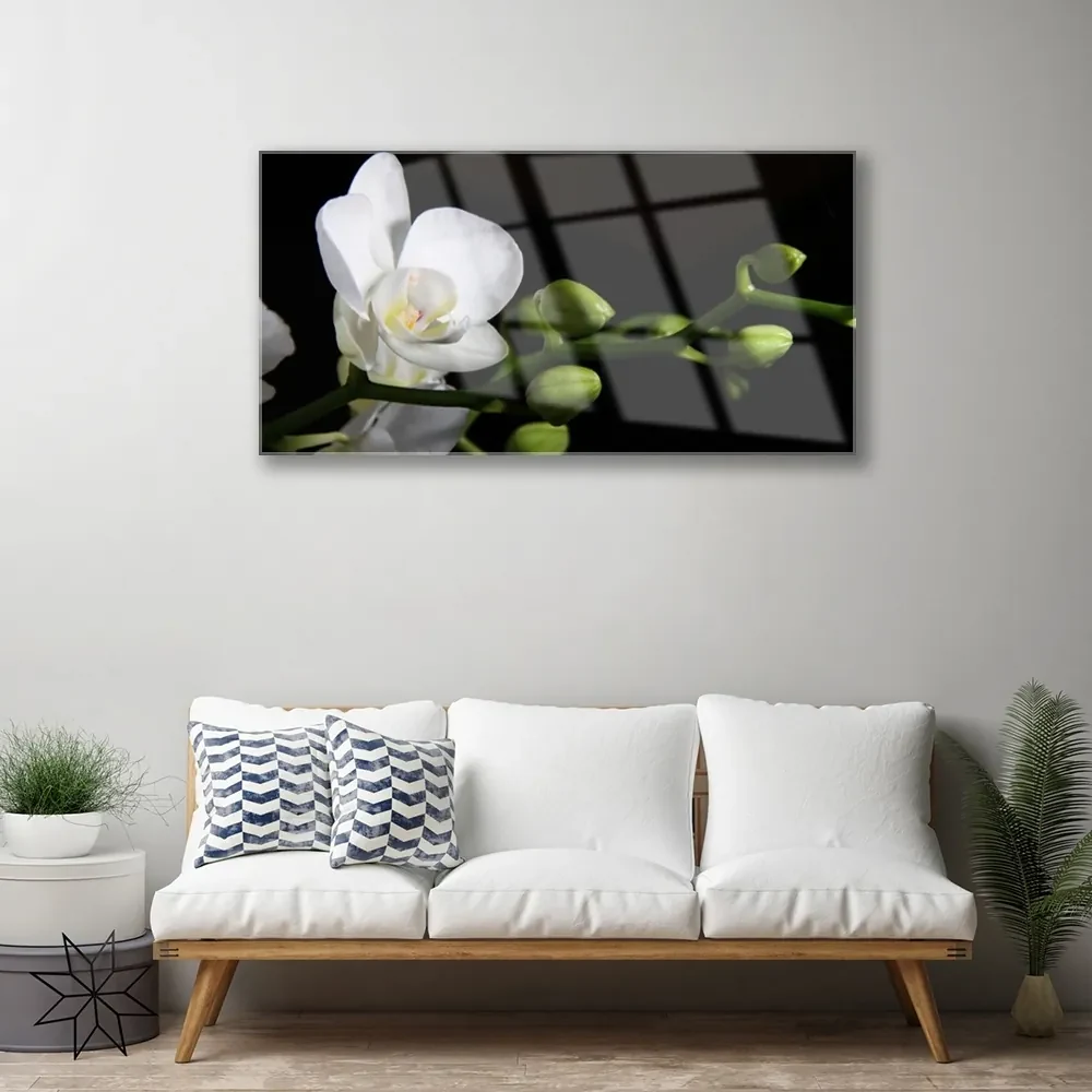 Tablou pe sticla Florale flori albe | BIANO