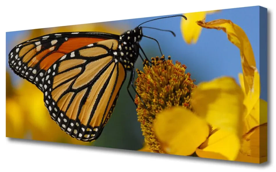 Tablou pe panza canvas Butterfly Flower Natura Negru Alb Galben | BIANO