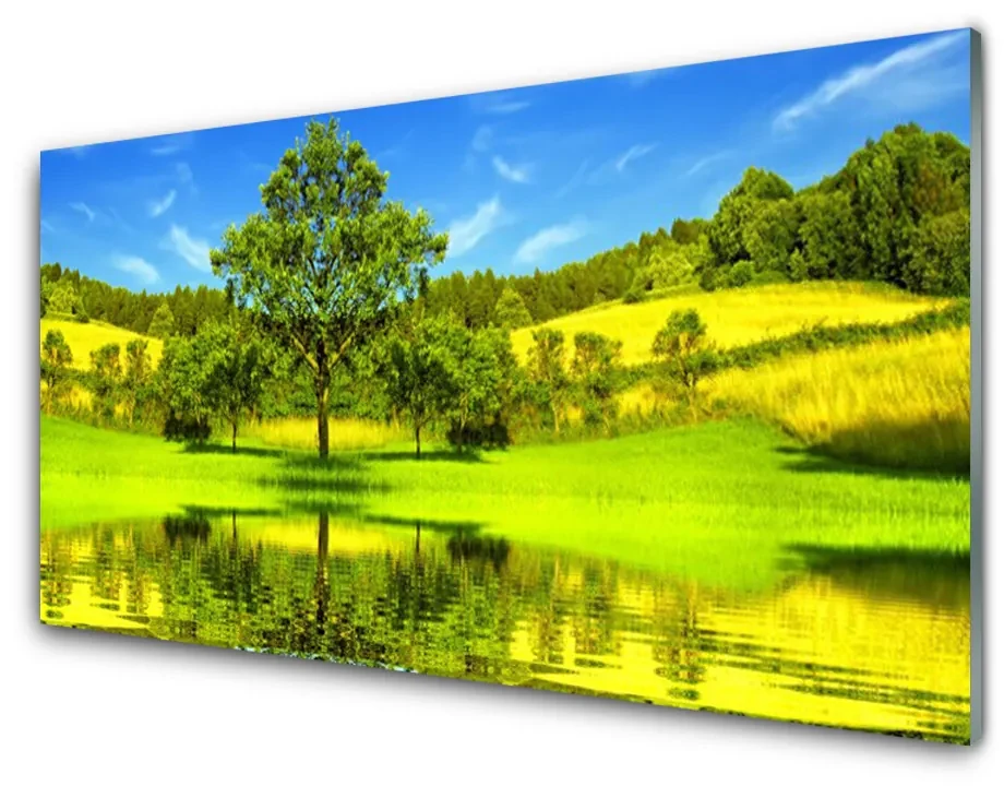 Tablou pe sticla Meadow copac Natura Verde Maro | BIANO
