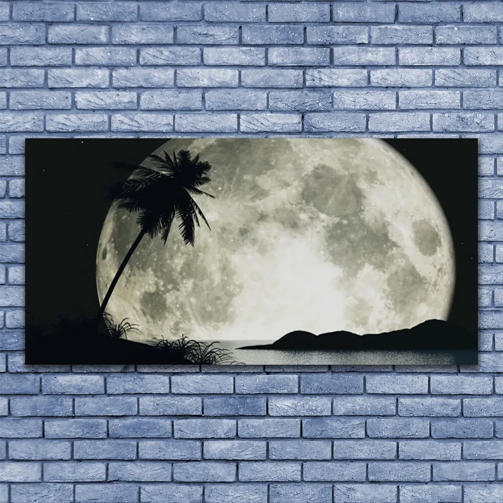 Tablou pe panza canvas Noapte Luna Palm Peisaj Negru Gri Alb | BIANO