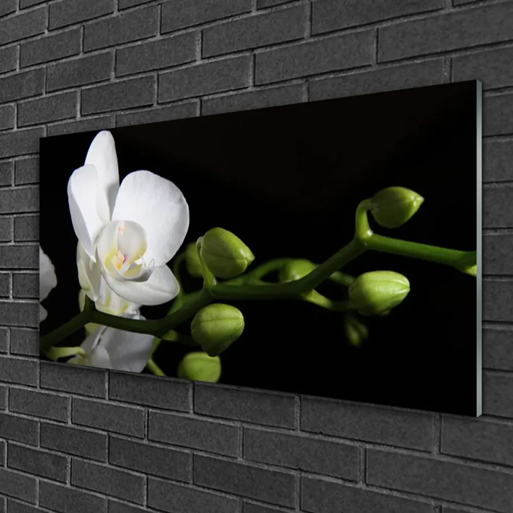 Tablou pe sticla Florale flori albe | BIANO