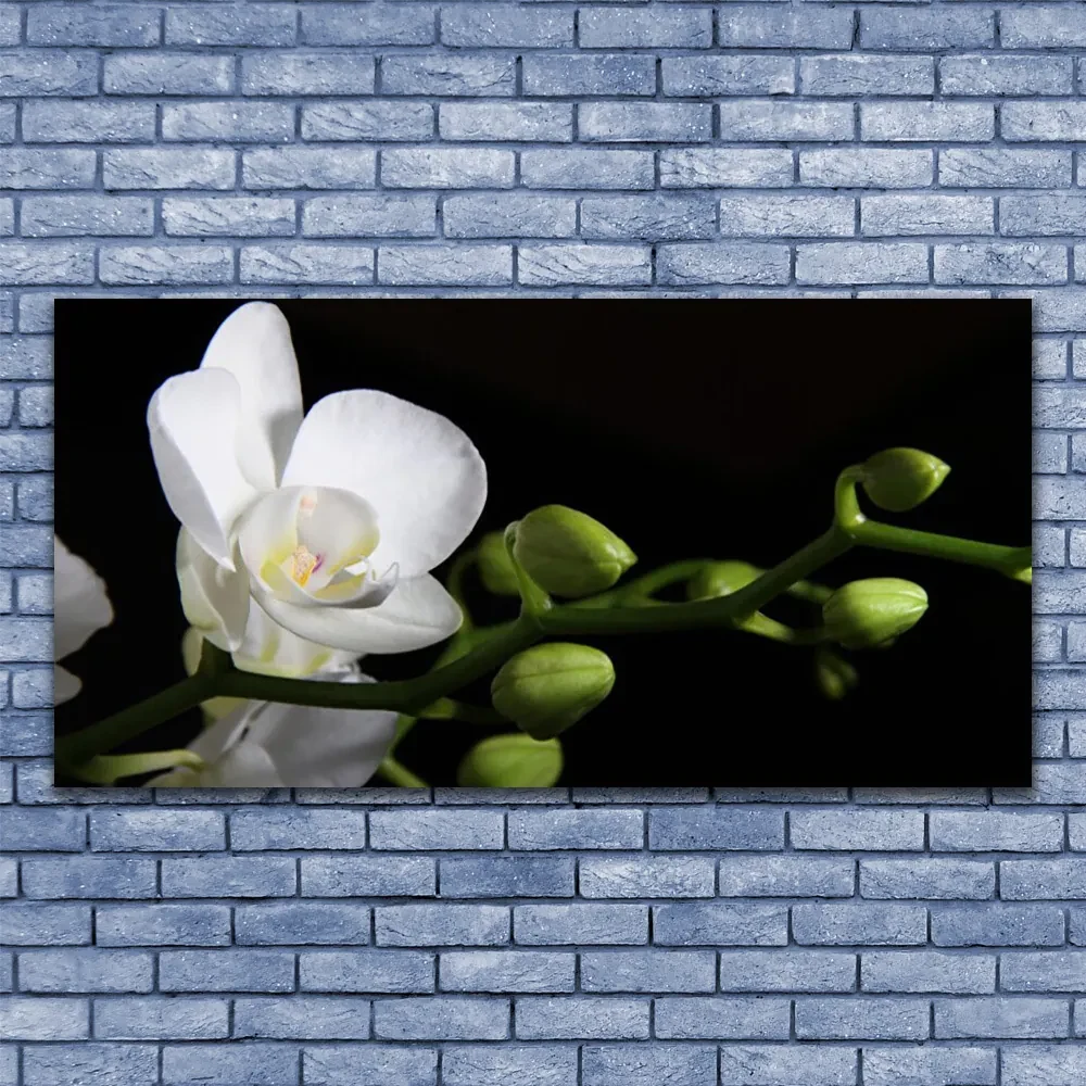 Tablou pe sticla Florale flori albe | BIANO