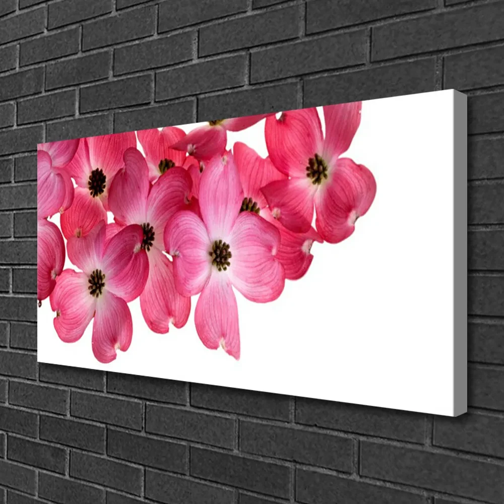 Tablou pe panza canvas Flori Floral Roz Alb | BIANO