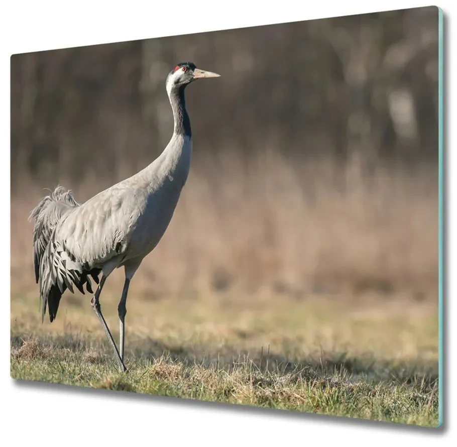 Tocator din sticla Stârc | BIANO