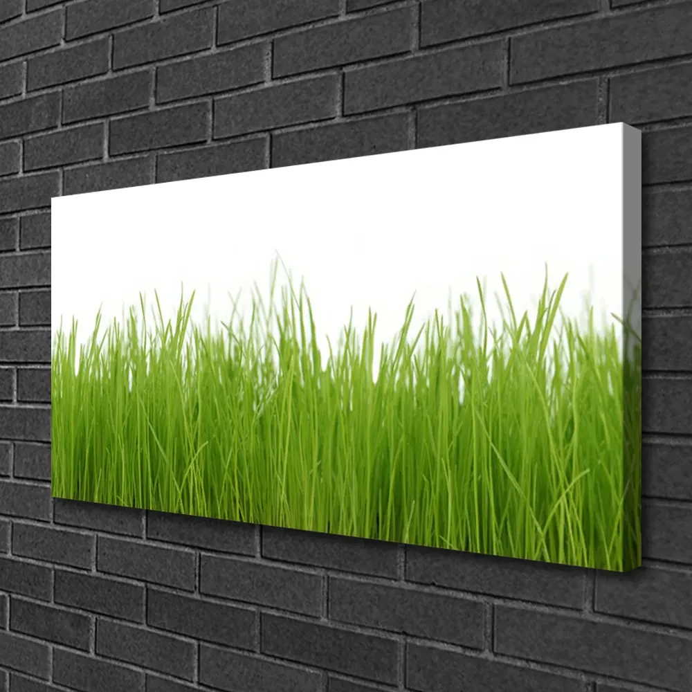 Tablou pe panza canvas Iarbă Natura verde | BIANO