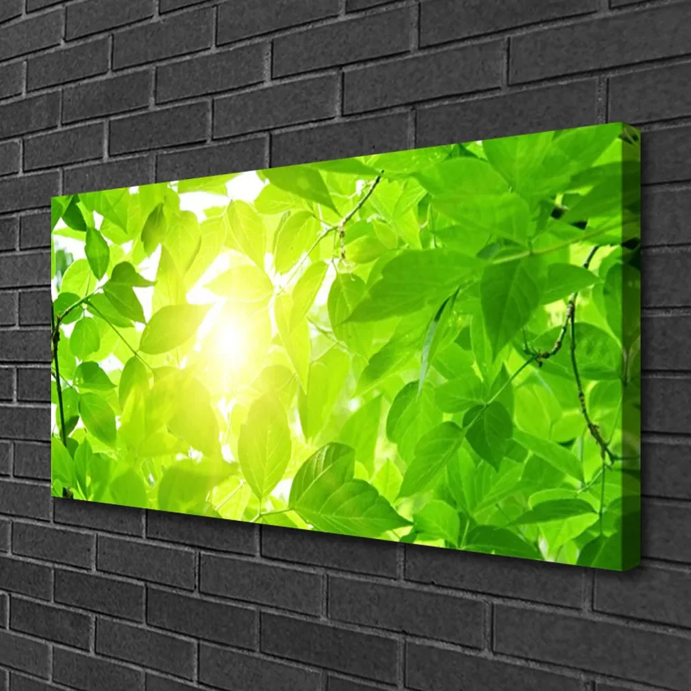 Tablou pe panza canvas Frunze verde florale | BIANO