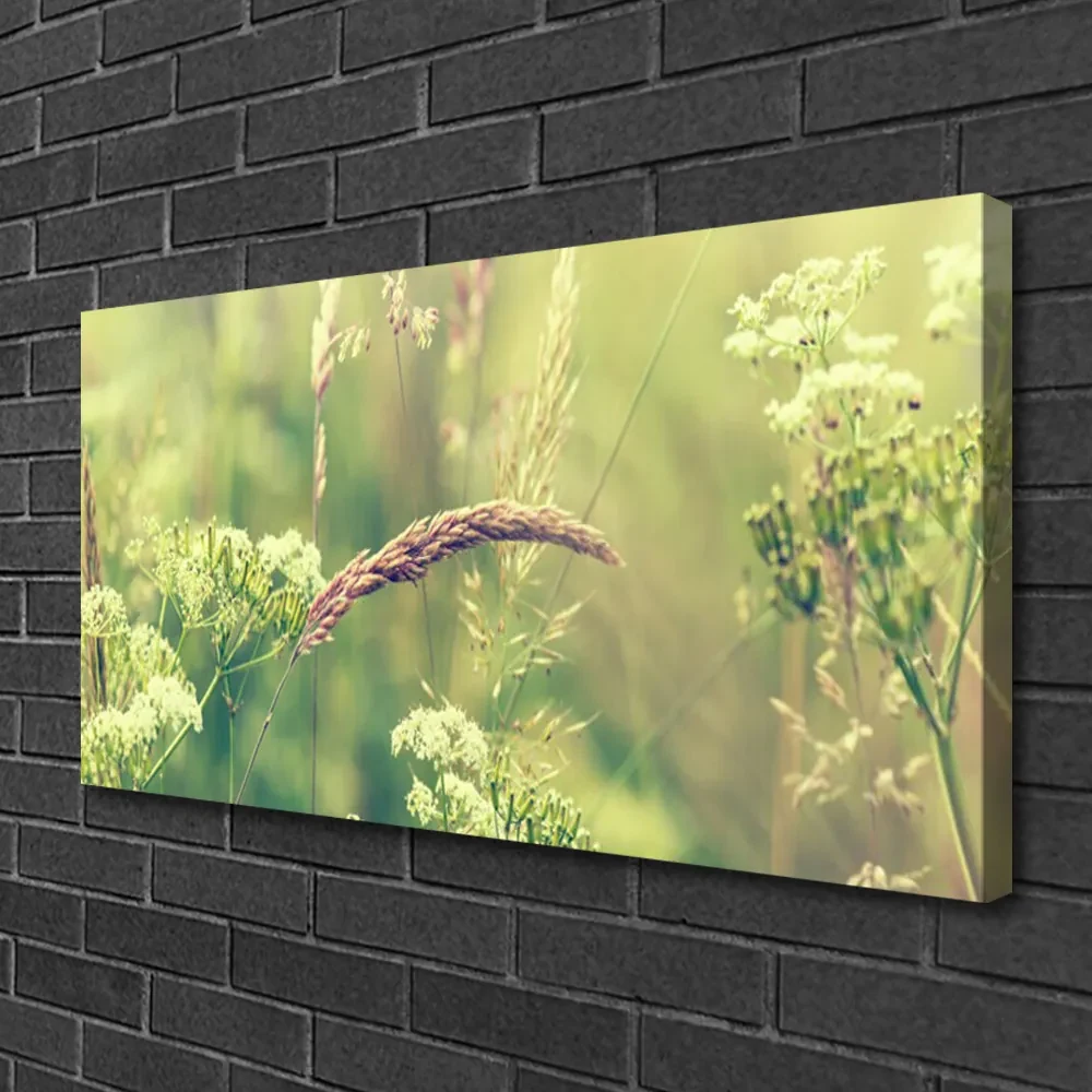 Tablou pe panza canvas Plante sălbatice Floral Alb Verde Brun | BIANO