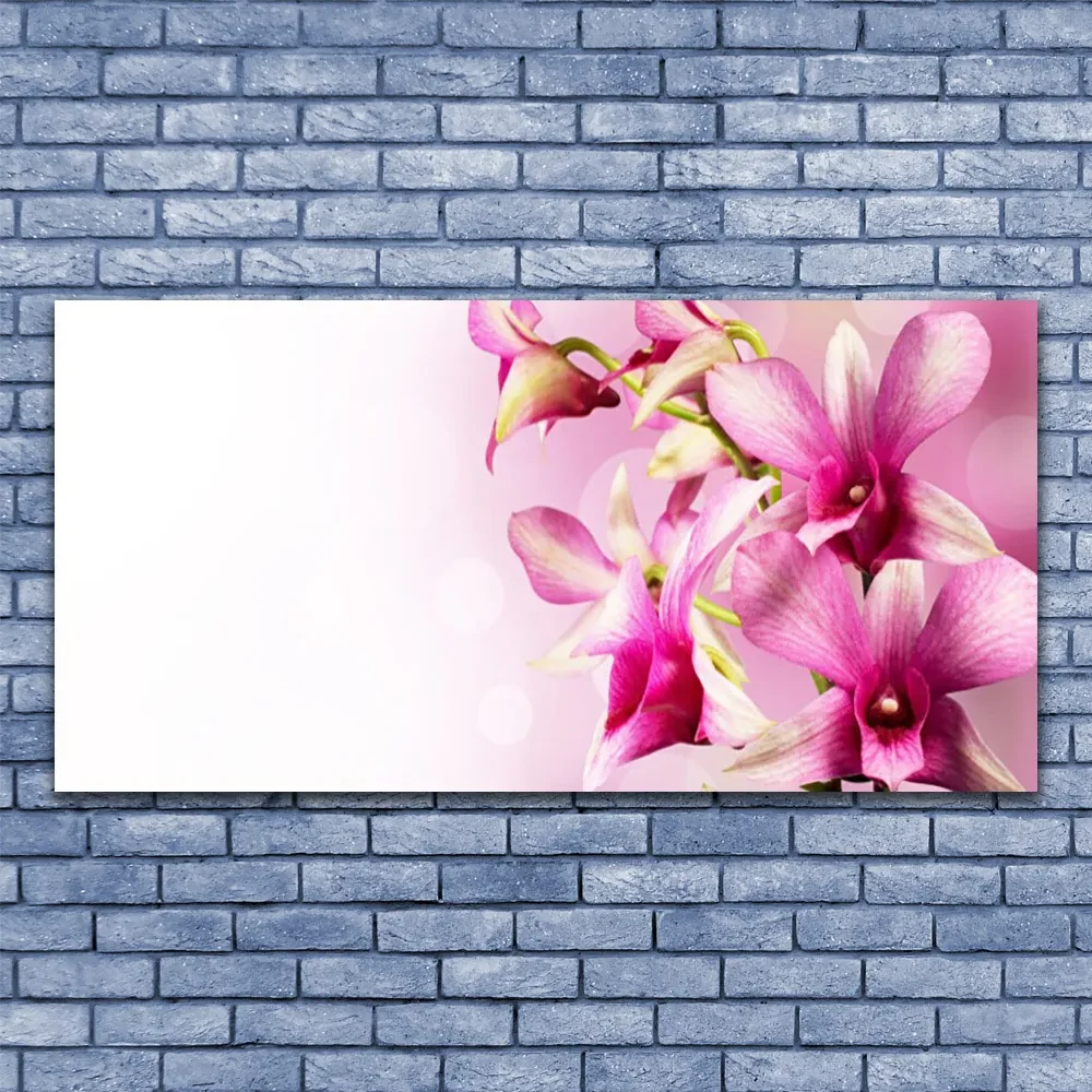 Tablou pe sticla Flori roz Floral | BIANO
