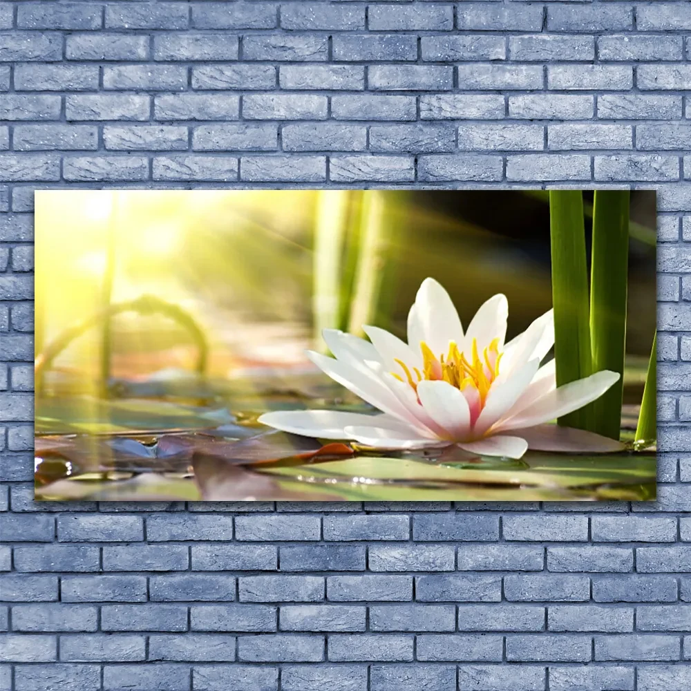 Tablou pe panza canvas Florale flori albe | BIANO