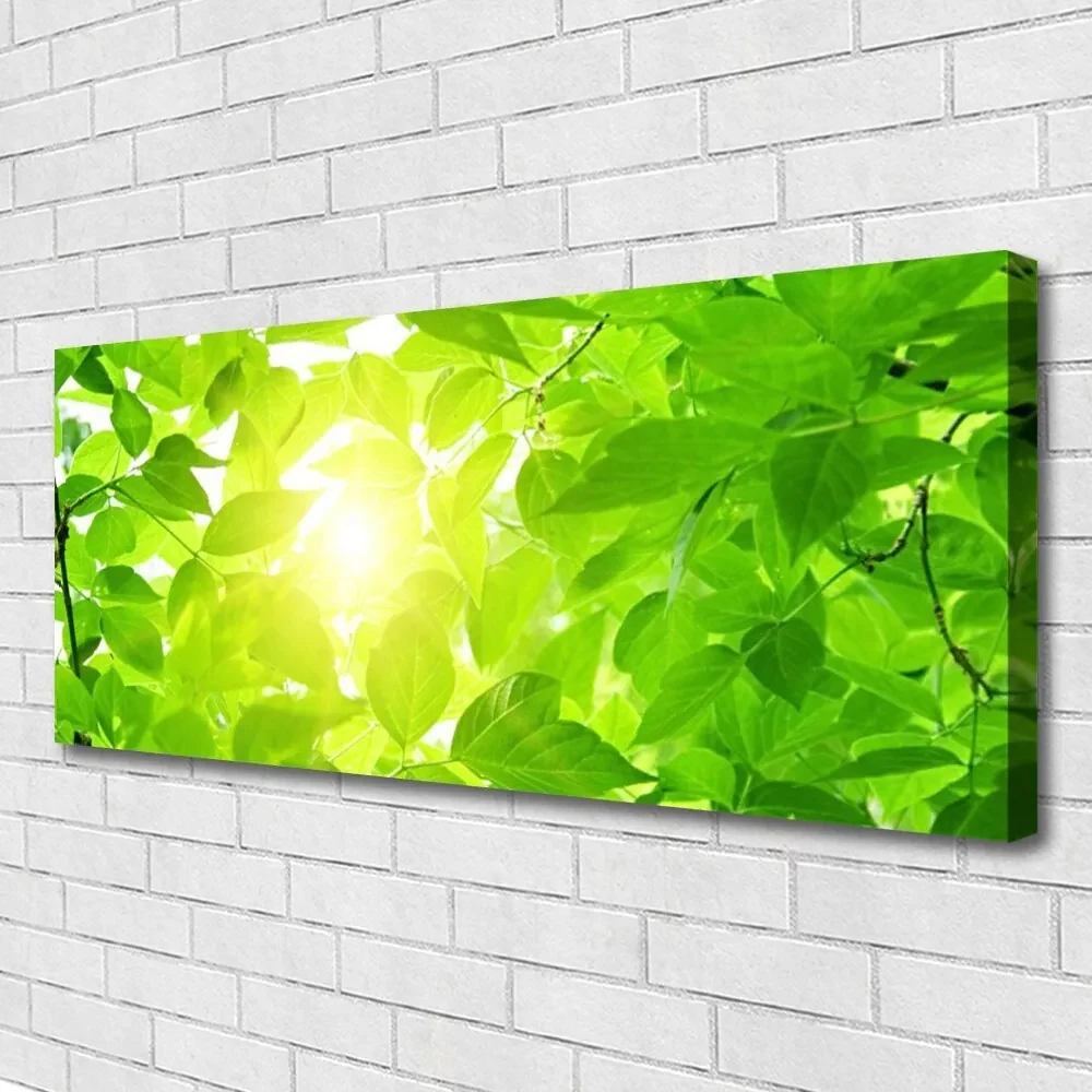 Tablou pe panza canvas Frunze verde florale | BIANO