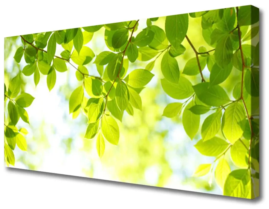 Tablou pe panza canvas Frunze Natura verde | BIANO