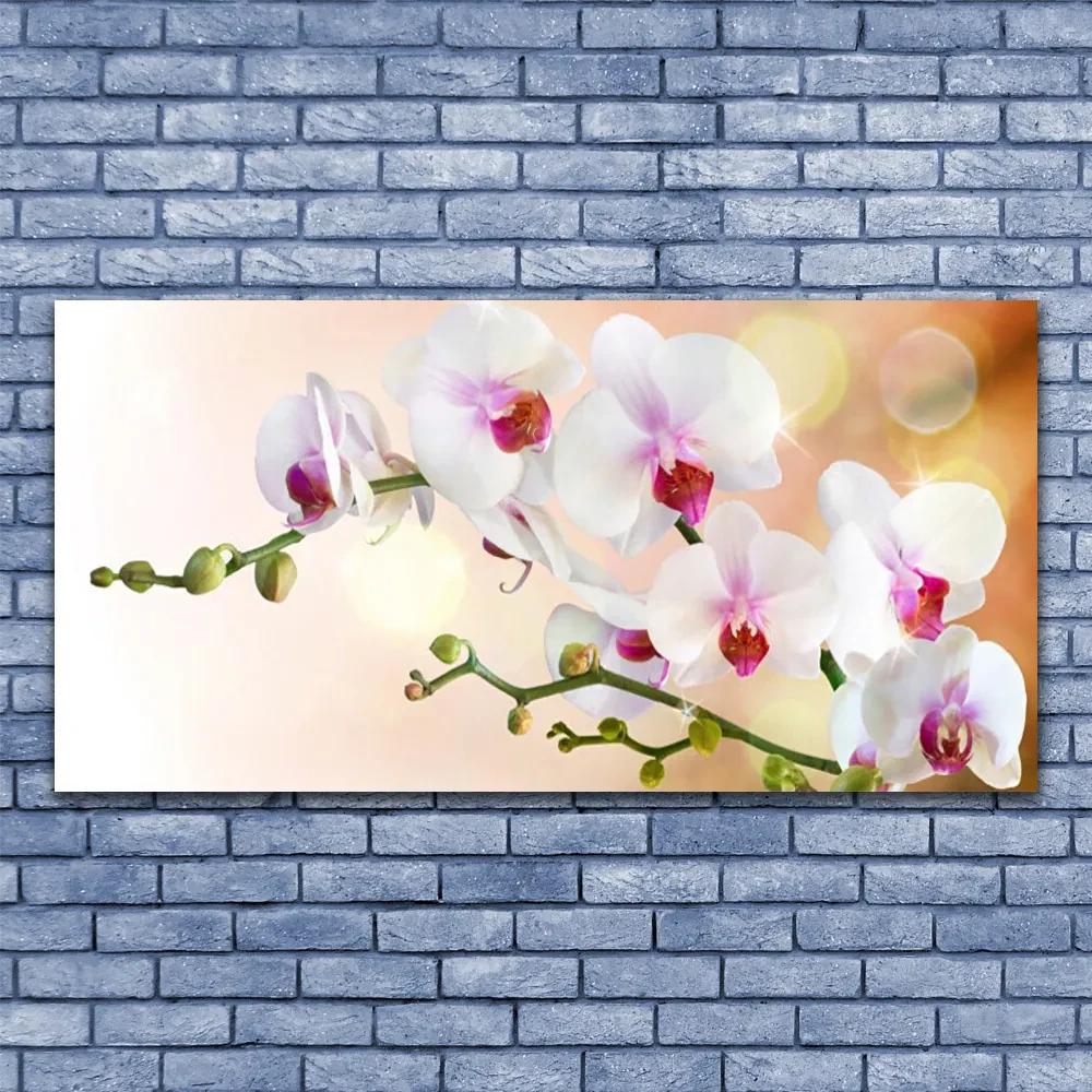 Tablou pe panza canvas Flori Floral Alb Roz | BIANO