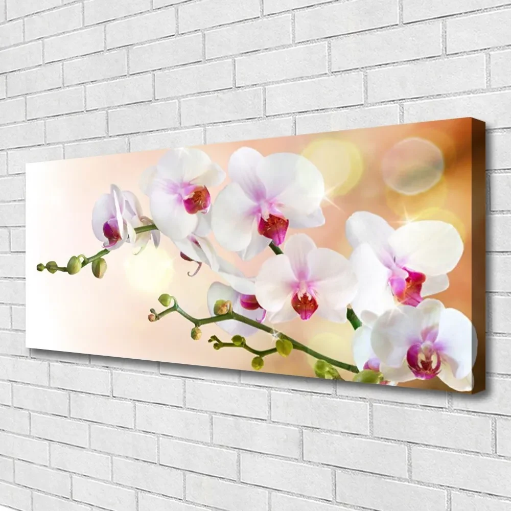 Tablou pe panza canvas Flori Floral Alb Roz | BIANO
