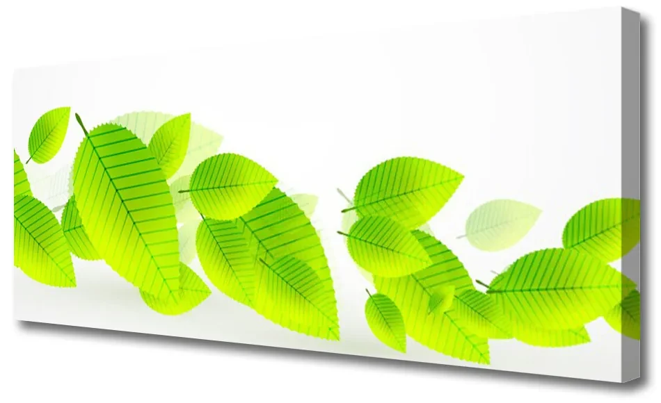 Tablou pe panza canvas Frunze verde florale | Biano