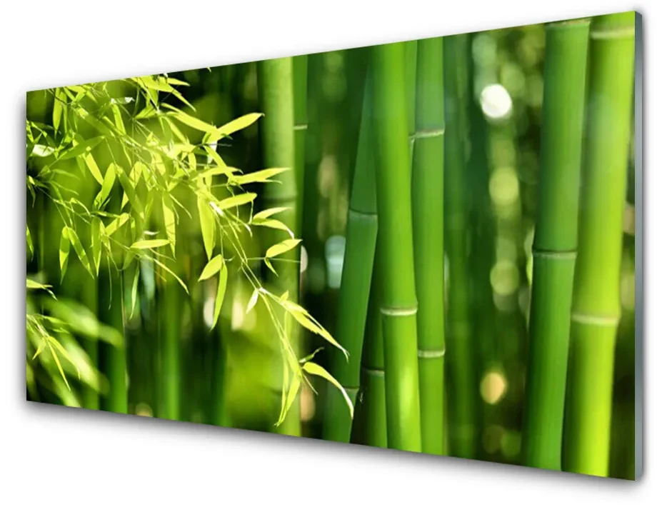 Tablou pe sticla Frunze de bambus verde florale | BIANO