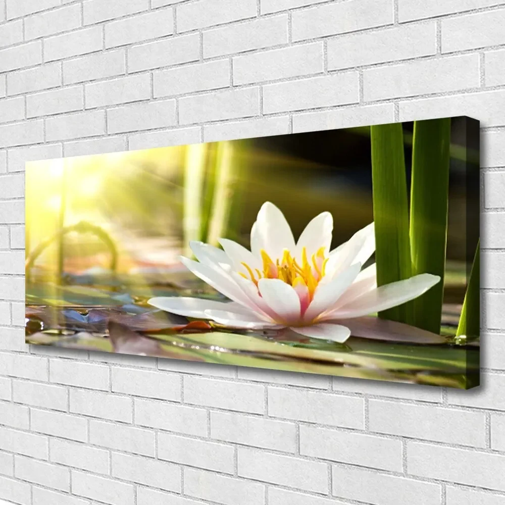Tablou pe panza canvas Florale flori albe | BIANO
