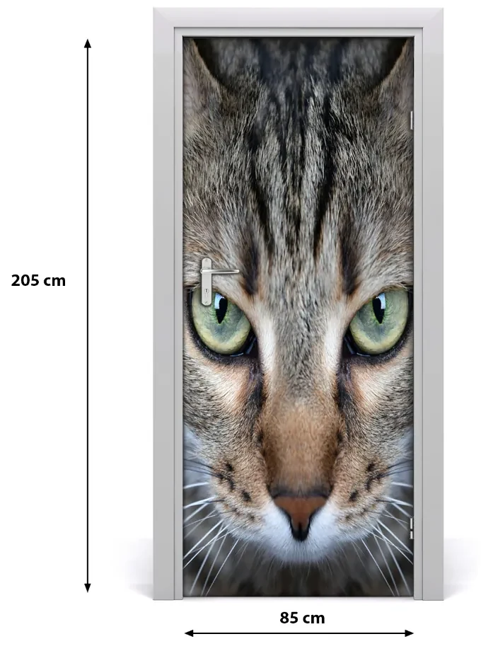 Autocolante pentru usi perete Cat Eyes | BIANO
