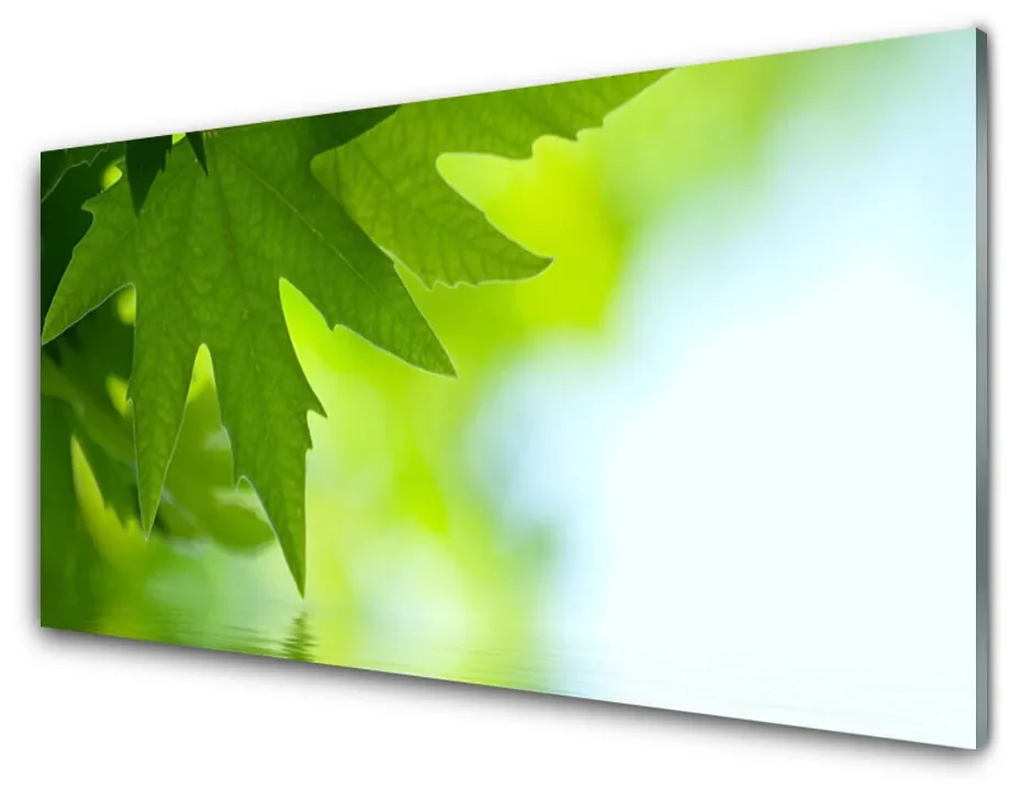 Tablou pe sticla Frunze Natura verde | BIANO