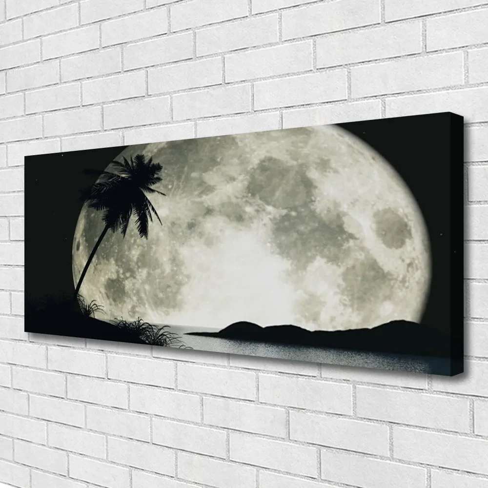 Tablou pe panza canvas Noapte Luna Palm Peisaj Negru Gri Alb | BIANO
