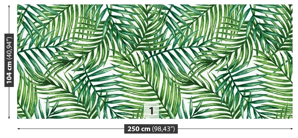 Fototapet Frunze de palmier | BIANO