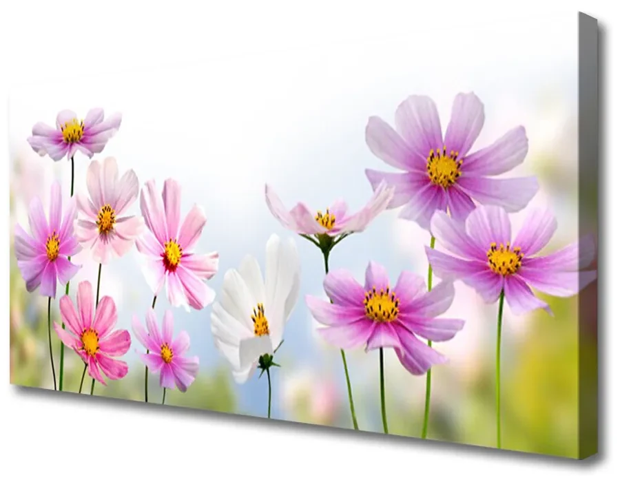Tablou pe panza canvas Flori roz Floral | BIANO