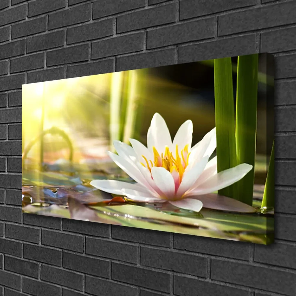 Tablou pe panza canvas Florale flori albe | BIANO