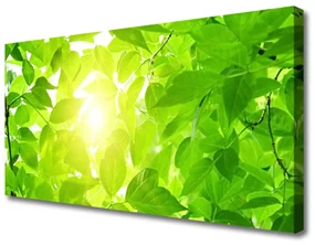 Tablou pe panza canvas Frunze verde florale | BIANO