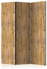 Paravane - 1.724 produse | BIANO