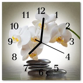 ⏰ Ceasuri - 4.857 products | BIANO